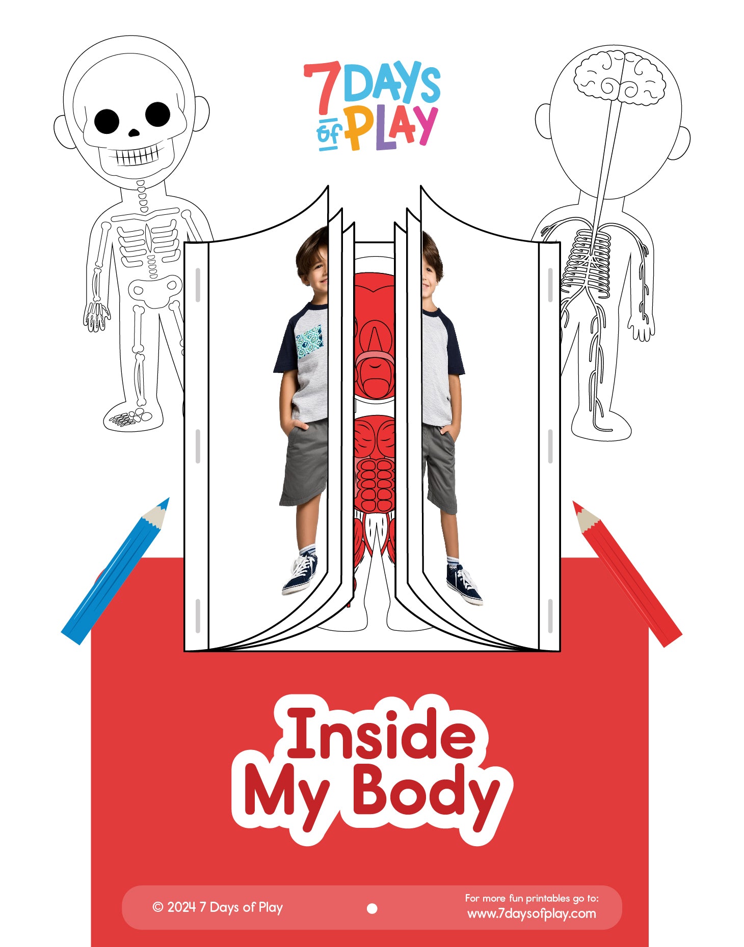 Inside My Body - Printable for kids – 7 Days of Play