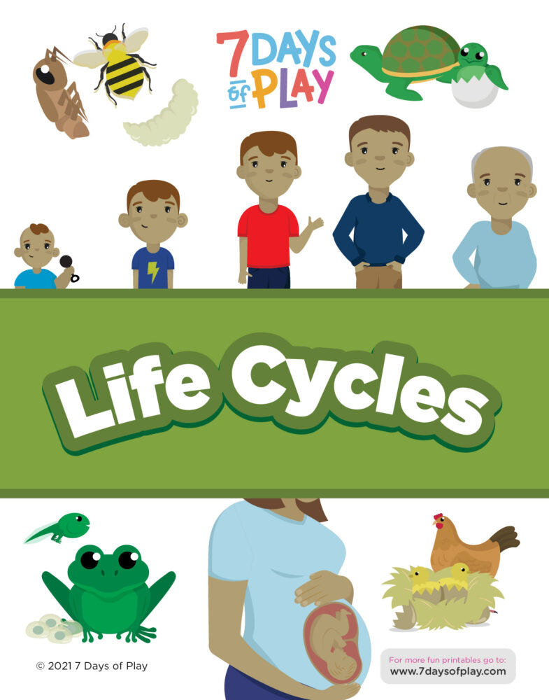 Life Cycles - Printable for Kids – 7 Days of Play