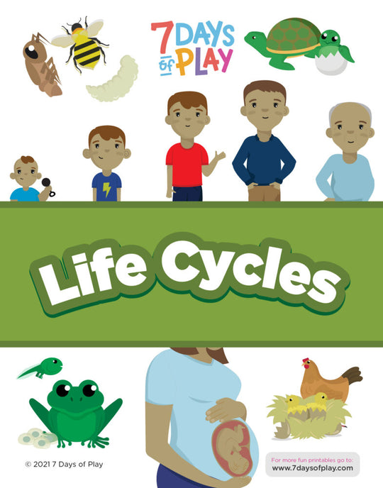 Life Cycles - Printable for Kids – 7 Days of Play