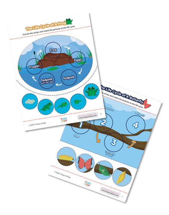 Life Cycles - Printable for Kids – 7 Days of Play